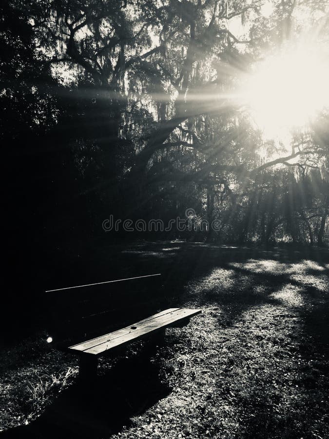 Bench stock photo. Image of bend, brazos, sunrise, state - 102213982