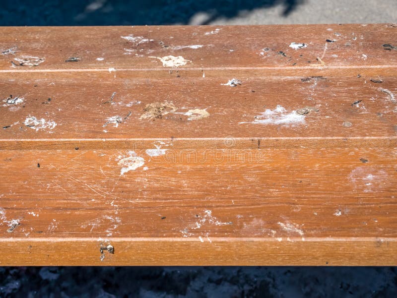 A Bench in Bucharest Covered with Bird Droppings Stock Image - Image of ...