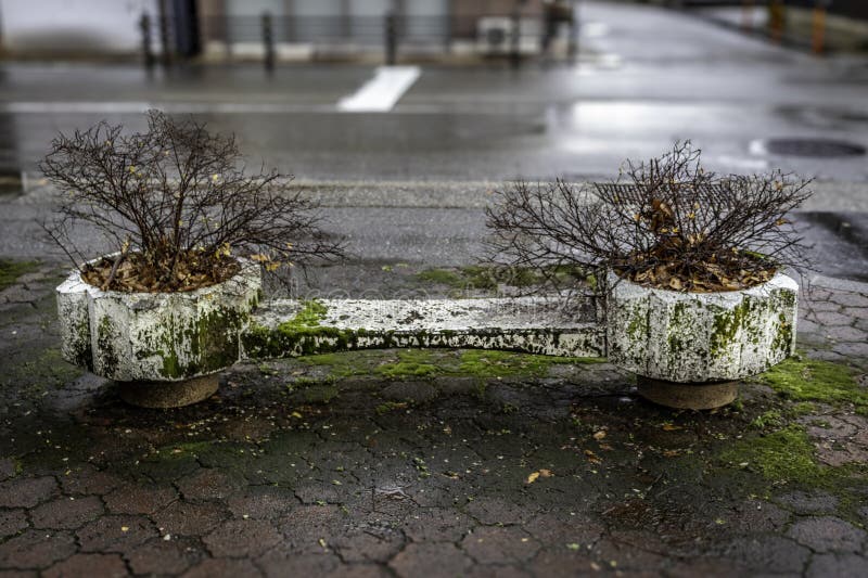 Bench at Bus Stop, Kanazawa, Japan Stock Photo - Image of focus, plant ...