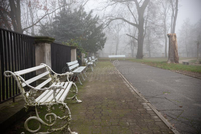 A Bench in a Calm Park Setting - Misty Autumn Background Stock Image ...