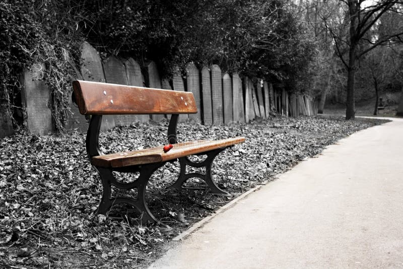Bench in cemetery stock photo. Image of headstone, death - 8441358