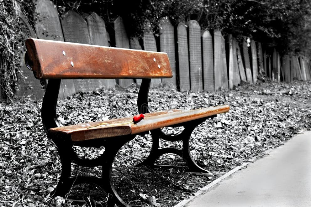 Bench in cemetery stock image. Image of death, bench, graveyard - 8441359