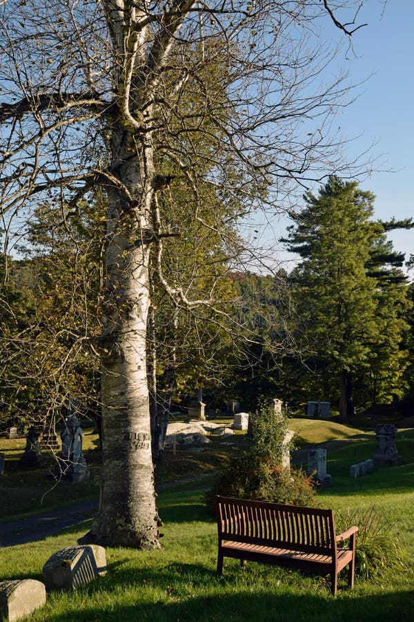Bench in a Cemetery stock image. Image of trees, tombstones - 83829689