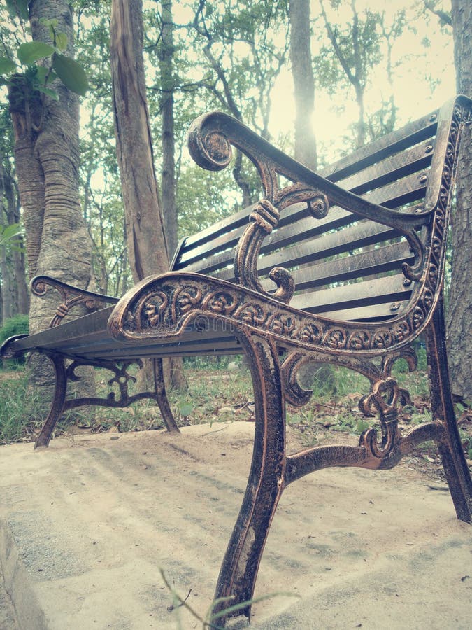 Bench chair stock image. Image of sidewalk, formal, lush - 41081921