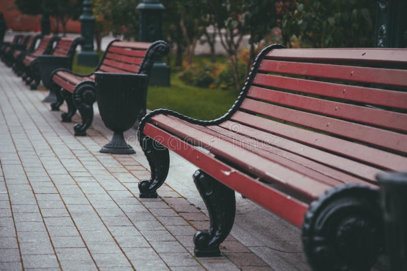 Bench in City Park in the Autumn with Nobody Stock Image - Image of ...