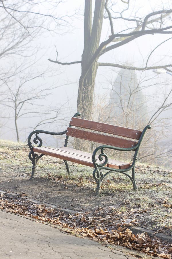 Bench in City Park in Morning Mist Stock Photo - Image of city, morning ...
