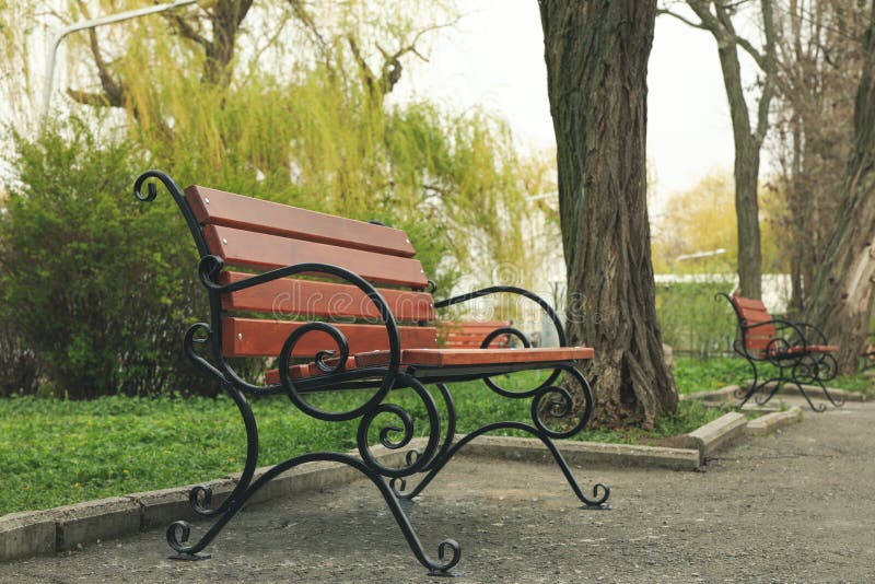 Bench in the City Park Spring Day Stock Photo - Image of road, peaceful ...