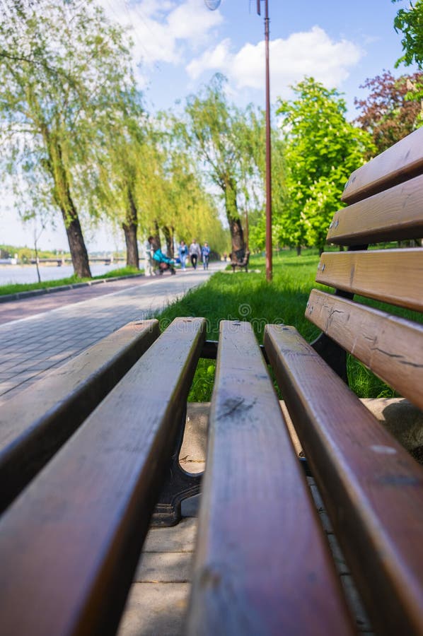 Bench in a city Park stock image. Image of grass, bench - 71290555