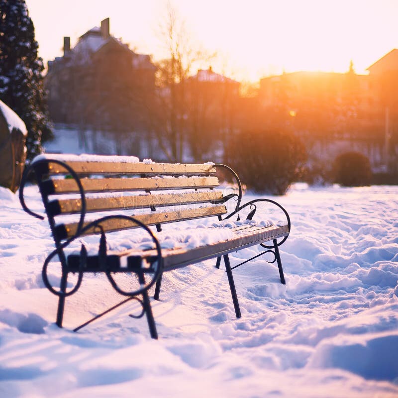 Bench in City Park at Winter Stock Image - Image of mystical, beautiful ...