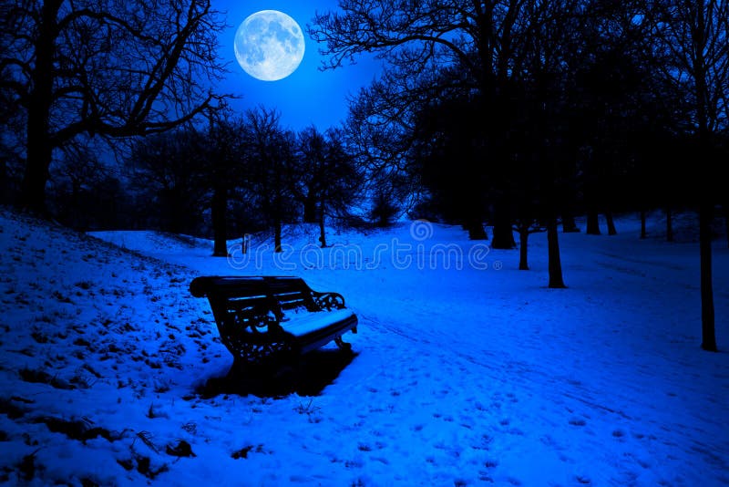 Bench Covered in Snow at Midnight Stock Image - Image of peace, night ...