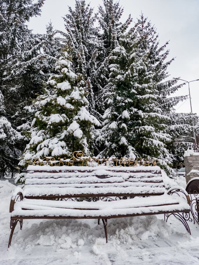 A Bench Covered in Snow Next To a Group of Trees Stock Image - Image of ...