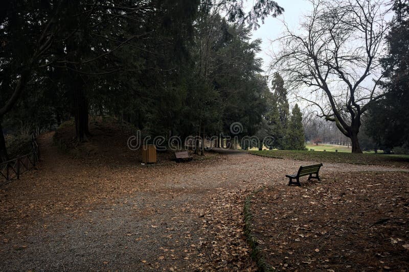 Bench at the Crossroads between Paths Stock Photo - Image of green ...