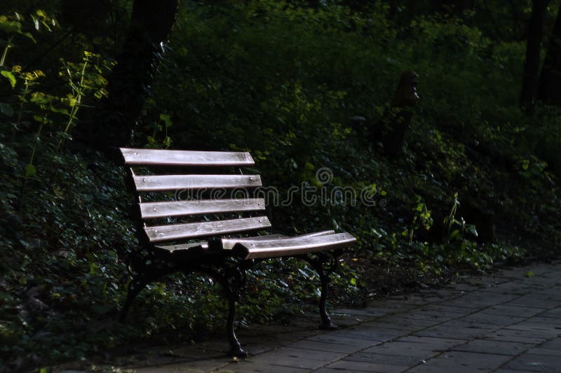 A bench in the darkness stock image. Image of wooden - 278023763