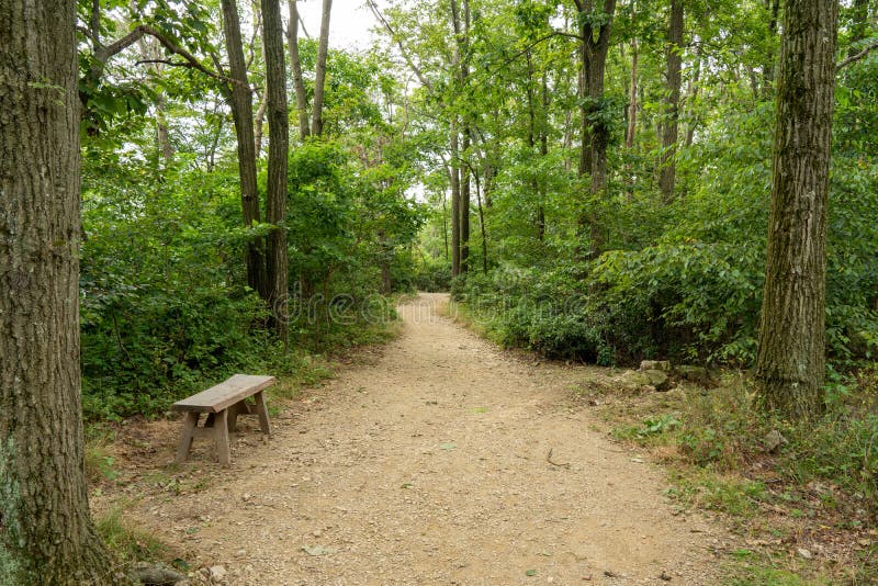 Bench beside Deserted Path stock photo. Image of season - 198959342