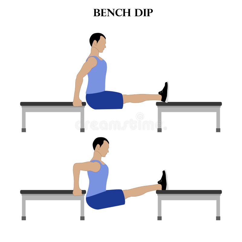 Bench illustration vector stock vector. Illustration of board - 83138081