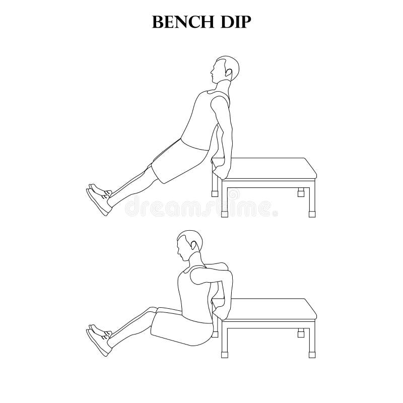 Bench Dip Exercise Strength Workout Vector Illustration Stock Vector ...