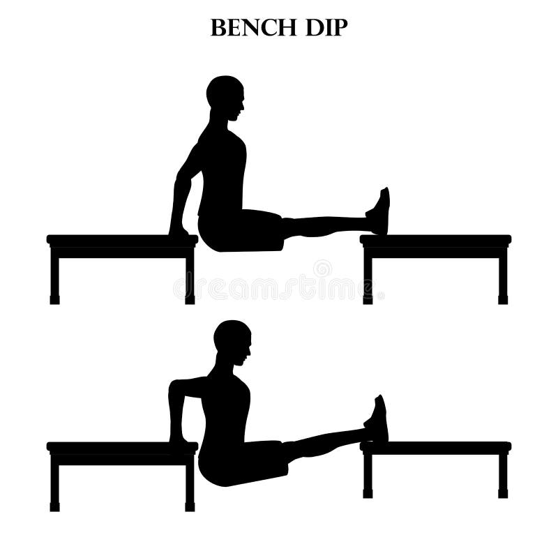 Bench Dip Exercise Strength Workout Vector Illustration Stock Vector ...