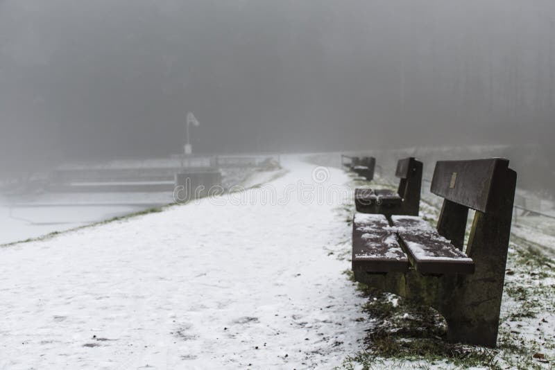 Bench Empty Seat in Wood Trees Winter and Fog 6 Stock Image - Image of ...