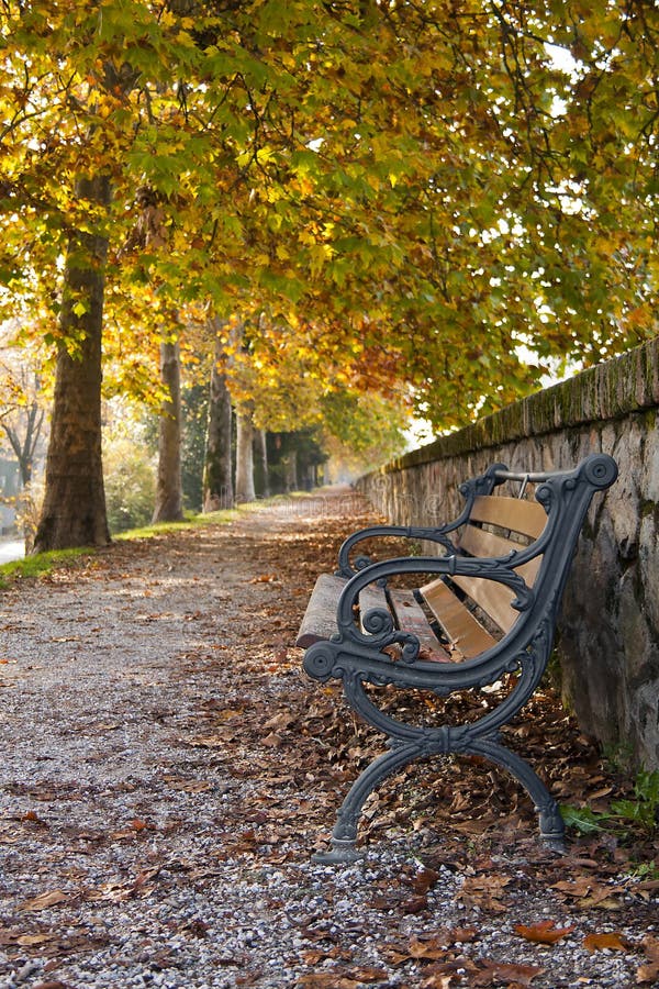 Bench fall stock photo. Image of wall, wood, autumnal - 21850612