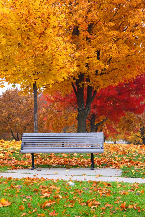 Bench in Fall foliage stock photo. Image of paths, hollow - 44615984