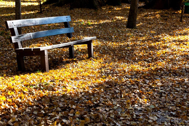 Bench and Fall Leaves stock photo. Image of outdoor, park - 23080298