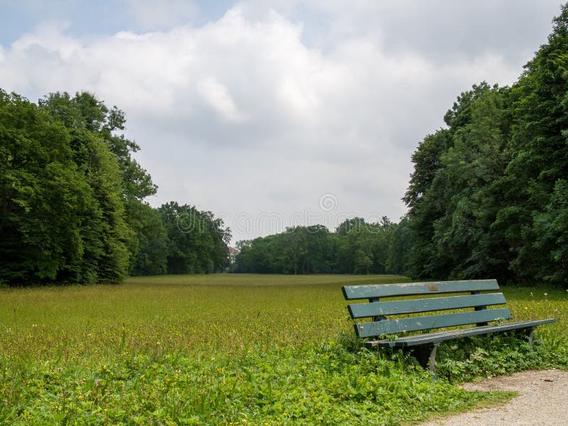 Bench in a Field in a Large Forest Clearing Stock Image - Image of ...