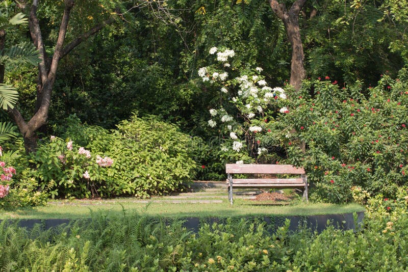 Bench with Flower and Trees in the Park Stock Photo - Image of outside ...
