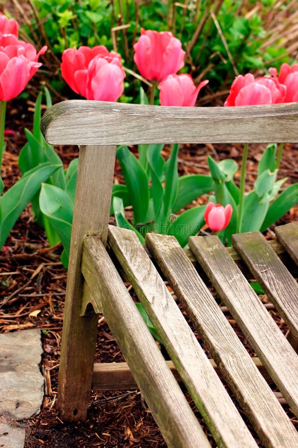 Bench with flowers stock image. Image of relax, flowers - 11140745