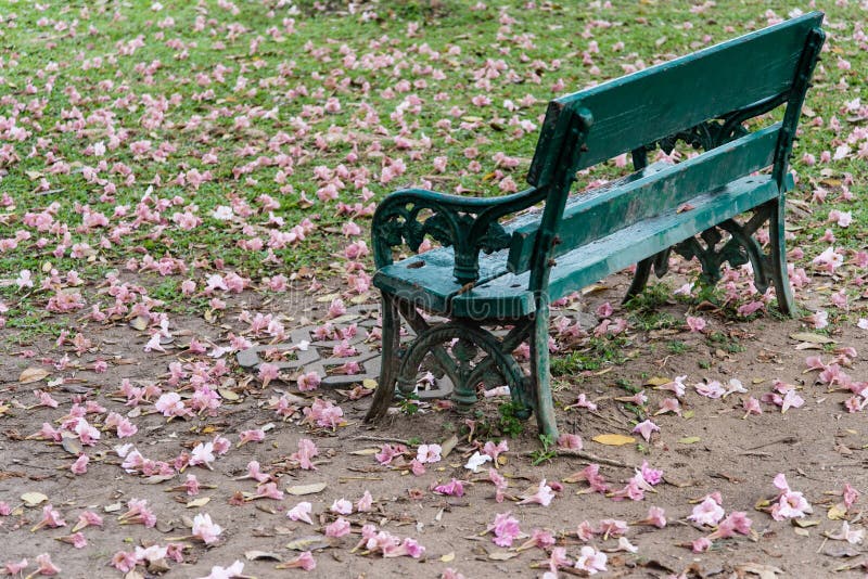 Bench with flowers stock photo. Image of outside, forest - 37936120