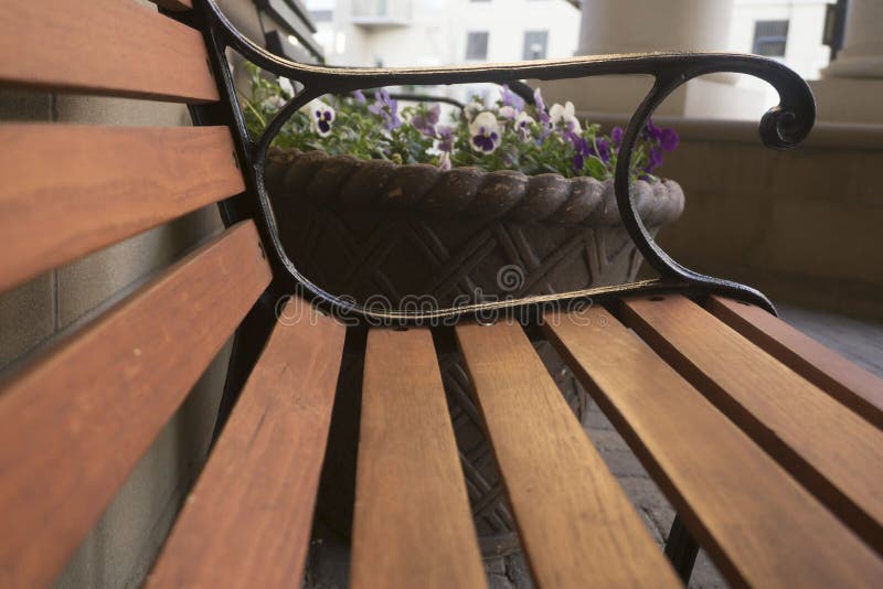 Bench with flowers stock image. Image of flowers, northcarolina - 106303901
