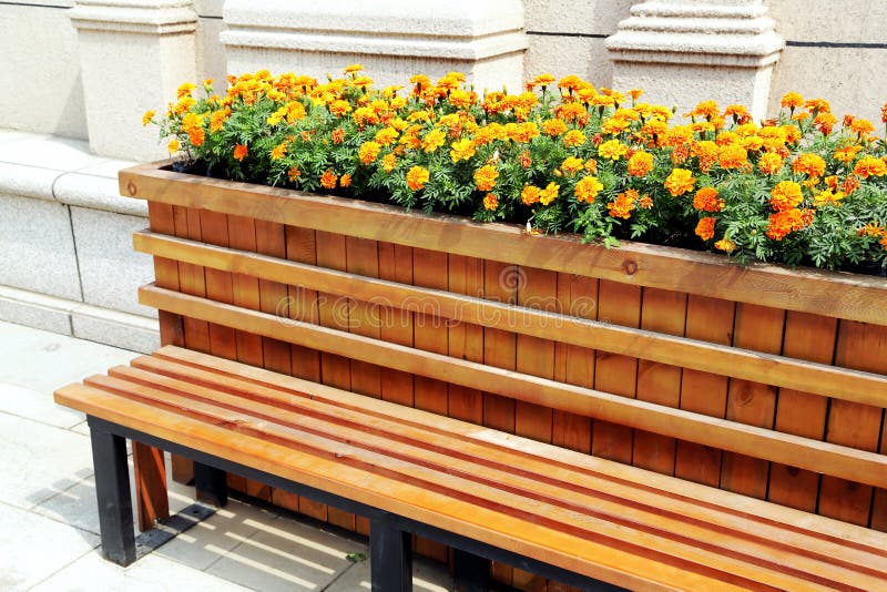 Bench with flowers stock photo. Image of serene, bench - 31201208