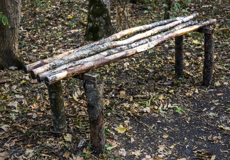 Bench in forest stock photo. Image of rest, natural - 105758086