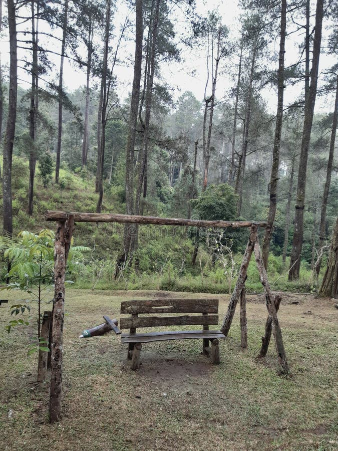 Bench in the Forrest stock image. Image of blue, house - 210605941