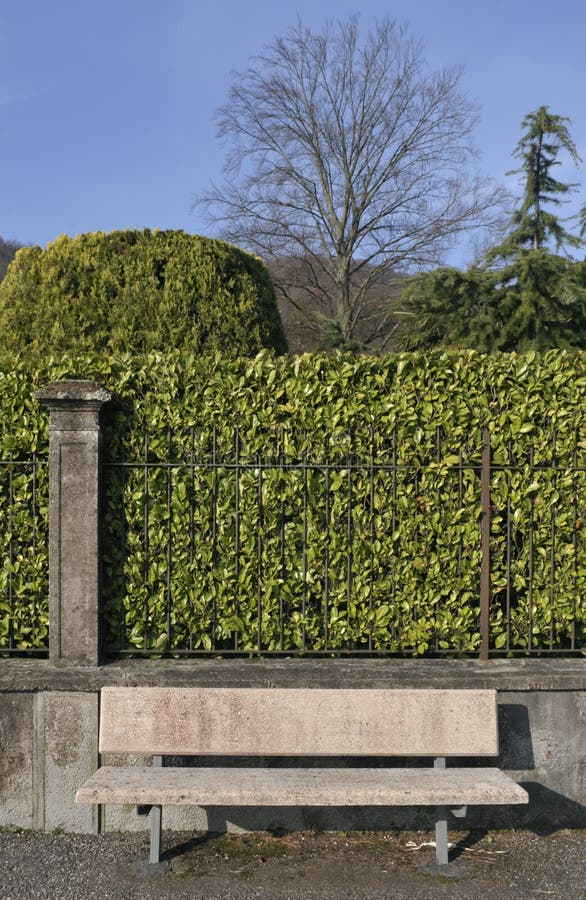 Bench by a garden hedge stock photo. Image of tranquillity - 25564492