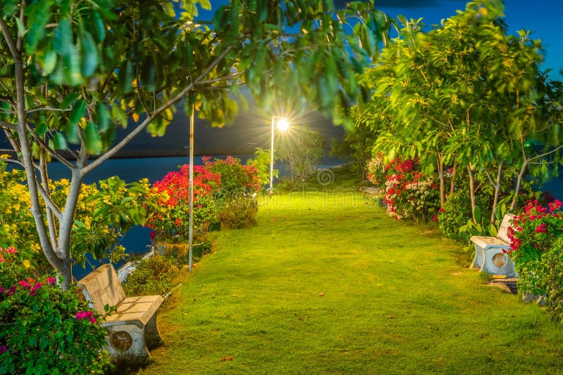 Bench in the Garden at Night Stock Image - Image of season, park: 169077007