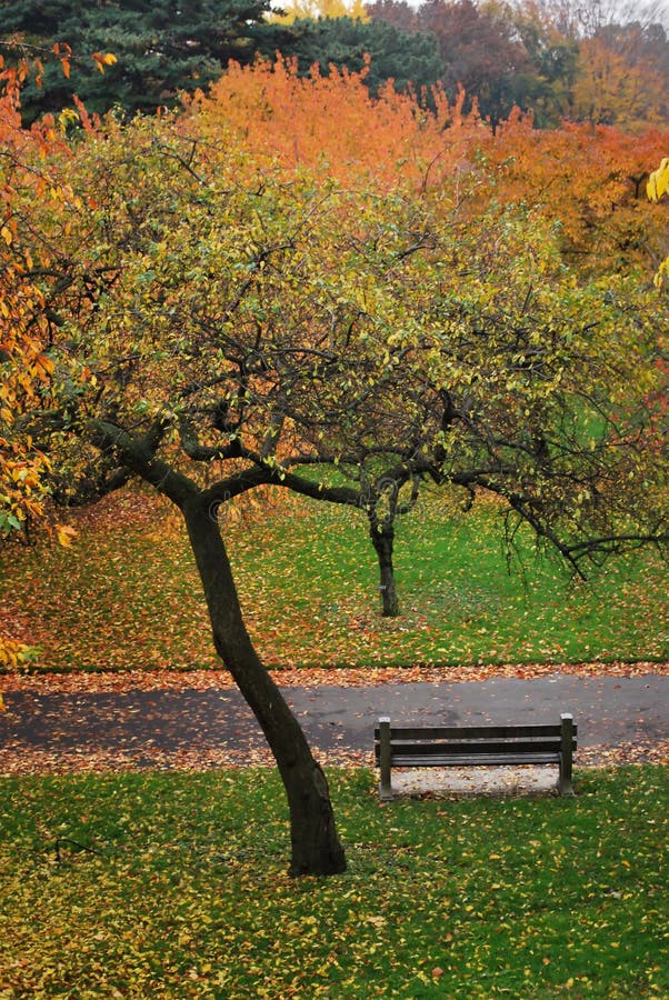 Bench on Garden Path stock image. Image of botanic, landmark - 7003191