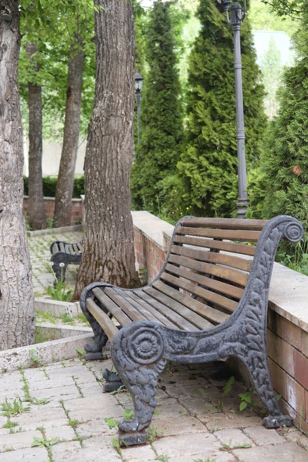 Bench in Garden and Trees Behind it at the Daytime Stock Image - Image ...