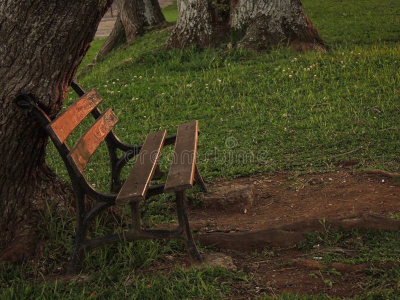 Bench on a Grass Field Park Stock Photo - Image of field, dark: 160043130