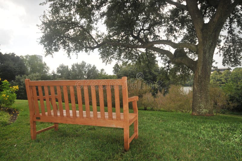 Bench on grass by a tree stock image. Image of horizontal - 11233785