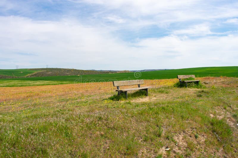 Bench in a Green Field Sown with Blue Sky with Clouds Stock Image ...