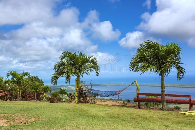 Bench on hill stock image. Image of nature, foggy, park - 60264911