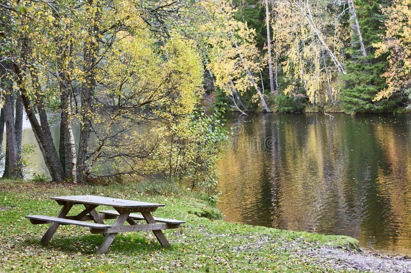 Bench at the lake stock photo. Image of landscape, outdoors - 19855522