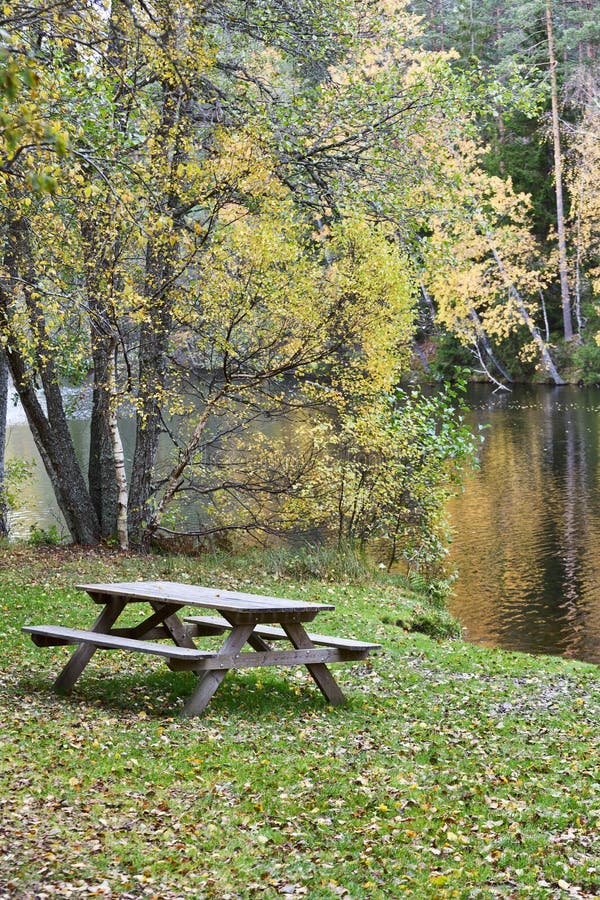 Bench at the lake stock photo. Image of autumn, benches - 20893934