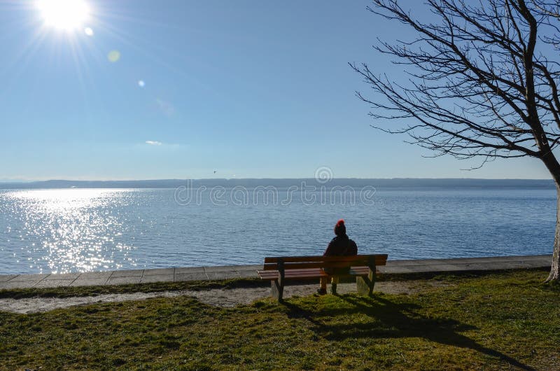 Bench at lake 1 stock photo. Image of tree, travel, adult - 142770418