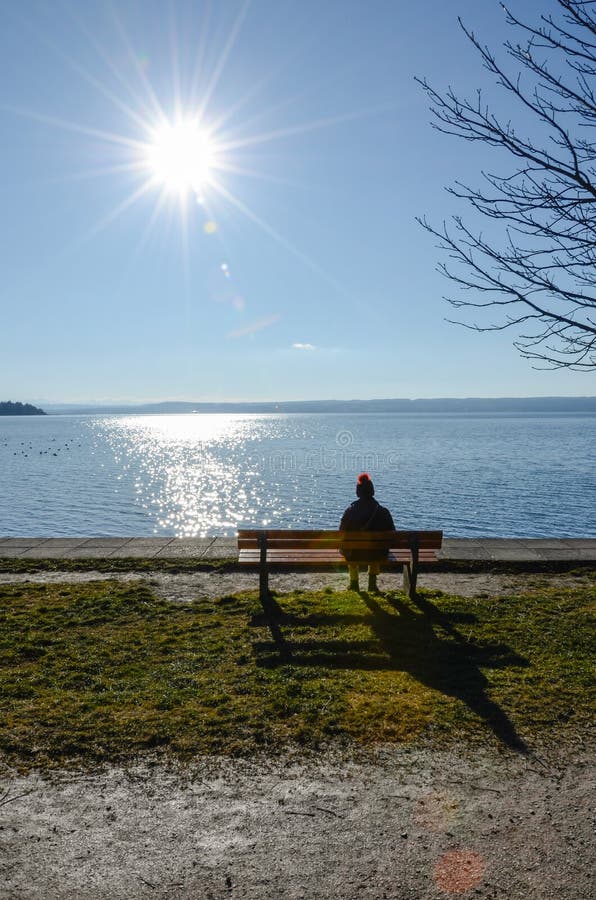 Bench at lake 4 editorial photo. Image of park, alone - 142770426