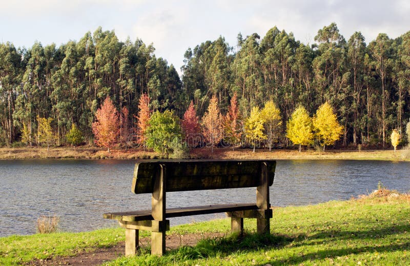 A Bench by the Lake in Front of Several Trees in Autumn. Stock Photo ...