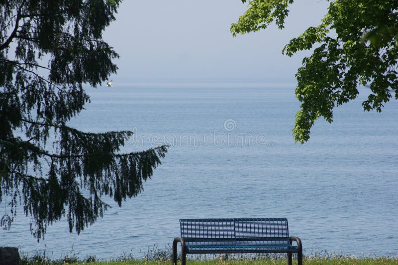 Bench by the lake. stock photo. Image of lake, bench - 42679154