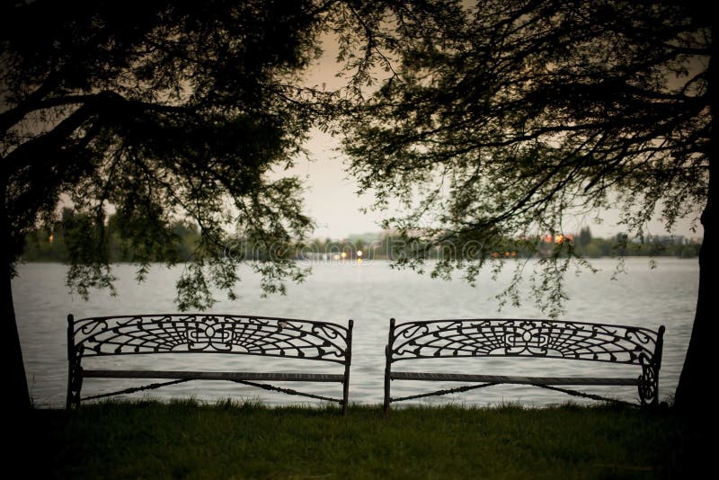Bench and Lake for Relaxation Stock Image - Image of park, charleston ...