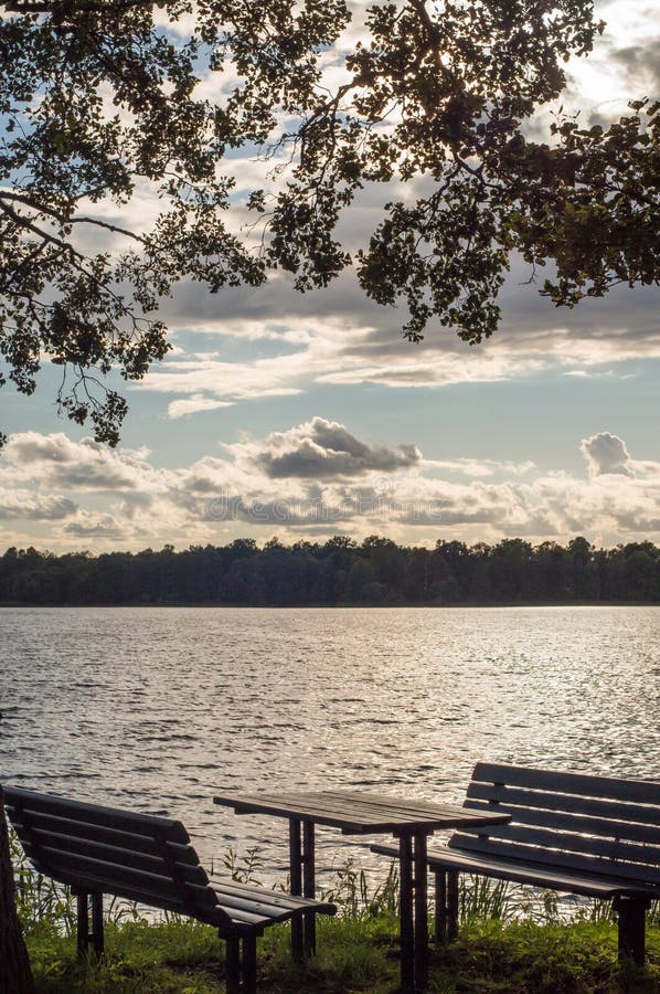 Bench at the lake shore stock photo. Image of lake, wooden - 79303394