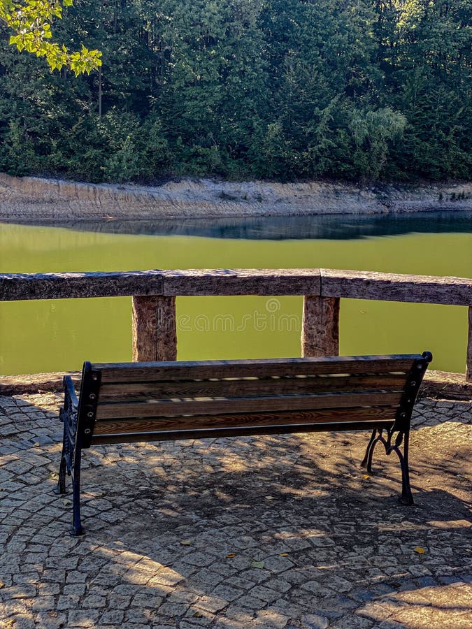 Bench on a Lake Shore in a Park Stock Image - Image of travel ...